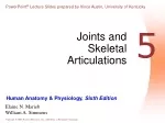 PPT - Joints of the Skeletal System PowerPoint Presentation, free ...