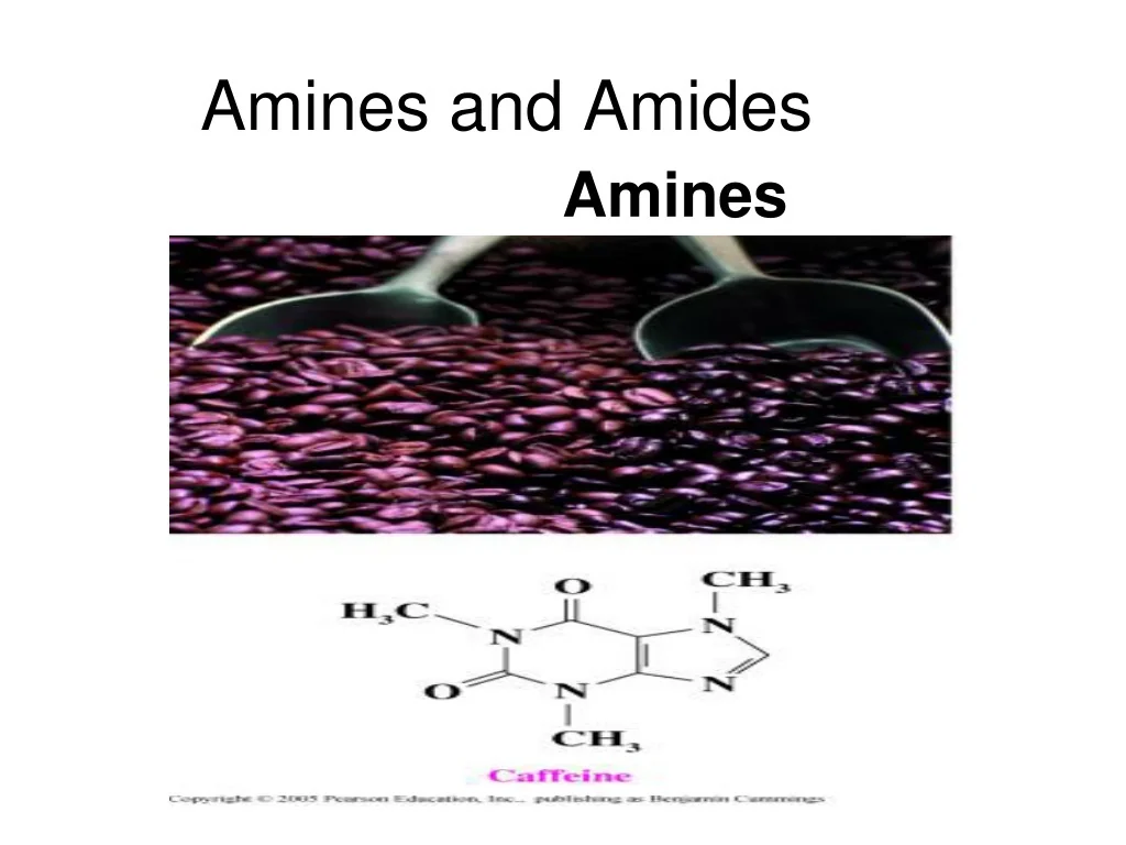PPT - Amines and Amides: Biological Significance and Chemical ...