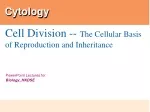PPT - Cytology PowerPoint Presentation, free download - ID:1002887