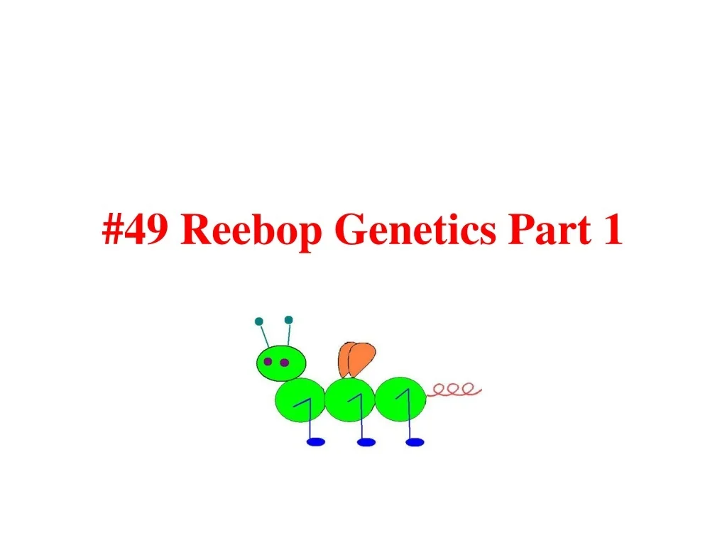 PPT - Reebop Genetics: Deciphering Alleles and Traits with a Coin Flip ...