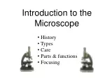 PPT - Introduction to the Microscope PowerPoint Presentation, free ...