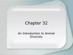 PPT - Chapter 32 PowerPoint Presentation, free download - ID:5687744