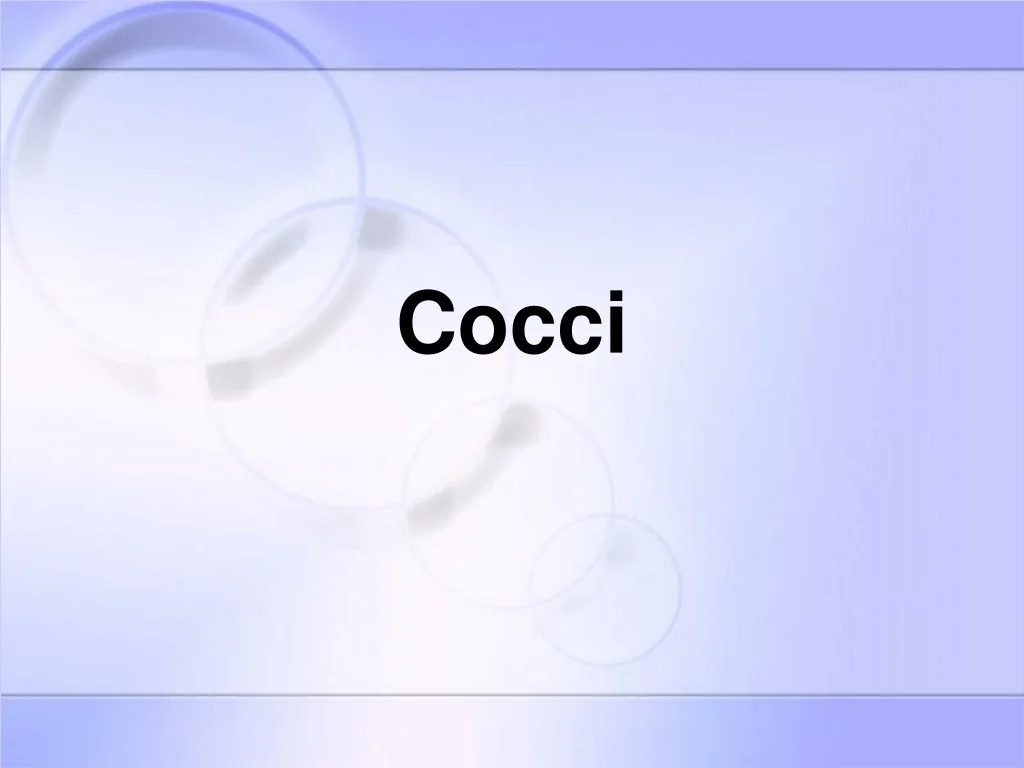 PPT - Staphylococcus Classification and Characteristics PowerPoint ...