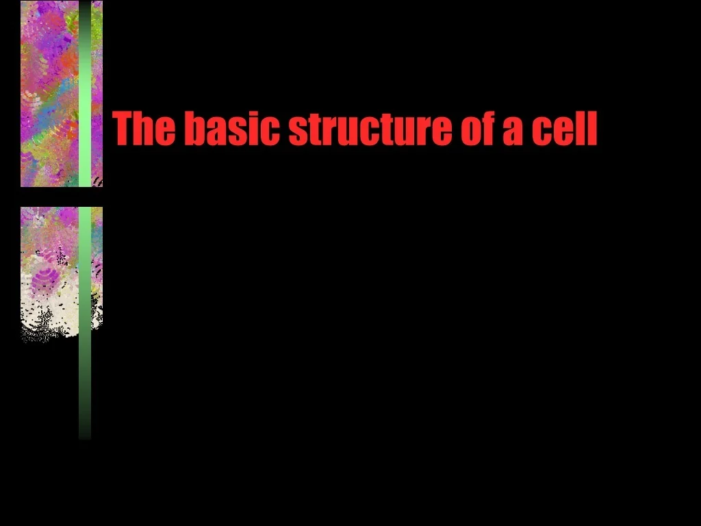 PPT - The Basic Structure of a Cell: Introduction & Components ...