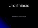 PPT - UROLITHIASIS PowerPoint Presentation, free download - ID:2241594