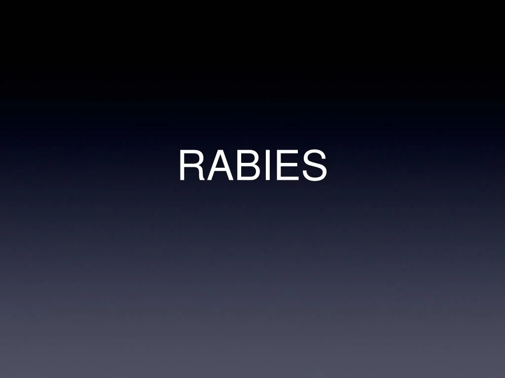 PPT - RABIES PowerPoint Presentation, free download - ID:9643901