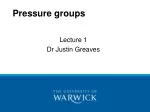 PPT - Pressure Groups PowerPoint Presentation, free download - ID:222830