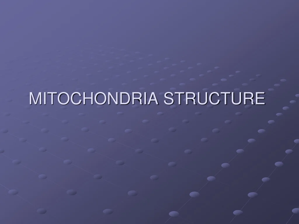 PPT - Mitochondria Structure and Function PowerPoint Presentation, free ...