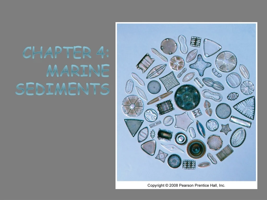 PPT - Marine Sediments: Types and Origins PowerPoint Presentation, free ...