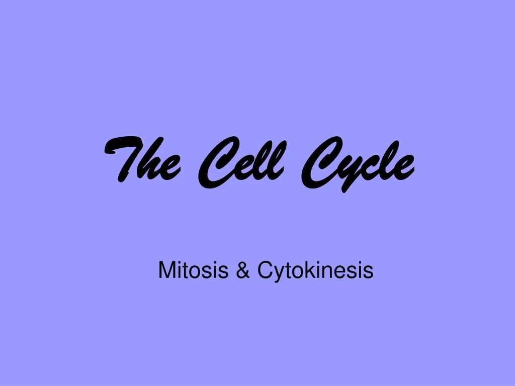 PPT - The Cell Cycle PowerPoint Presentation, free download - ID:9649155