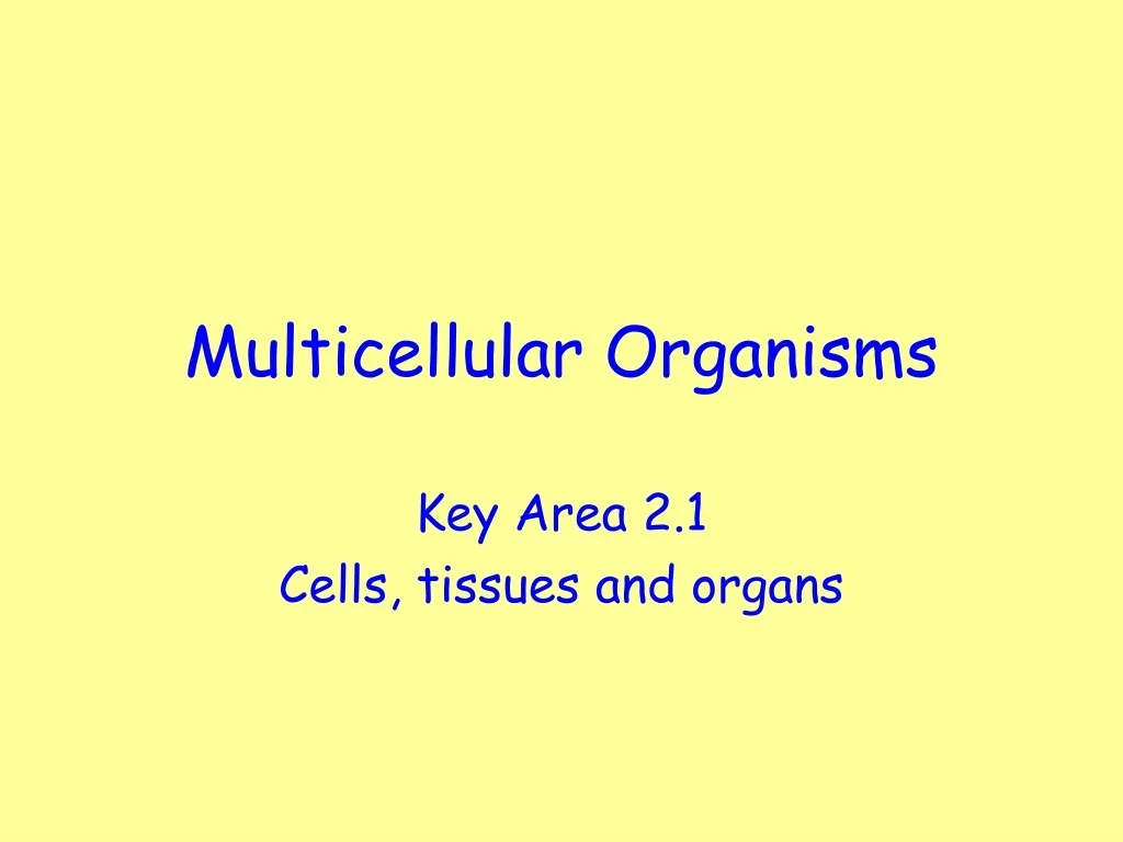 PPT - Multicellular Organisms PowerPoint Presentation, free download ...