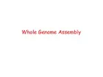 PPT - Whole Genome Sequencing, Assembly and Annotation PowerPoint ...