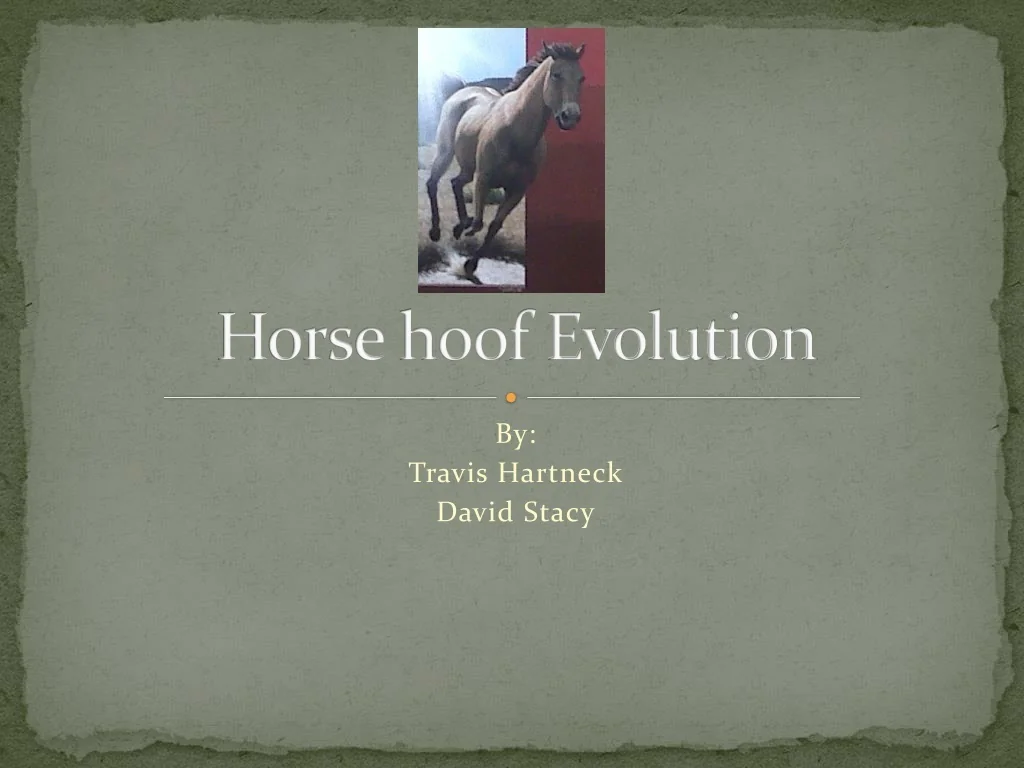 PPT - Evolution of Horse Hooves: From Multiple Toes to Single Hoof ...