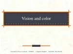 PPT - COLOR VISION PowerPoint Presentation, free download - ID:6118644