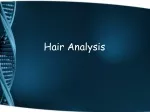 PPT - HAIR ANALYSIS PowerPoint Presentation, free download - ID:2047646