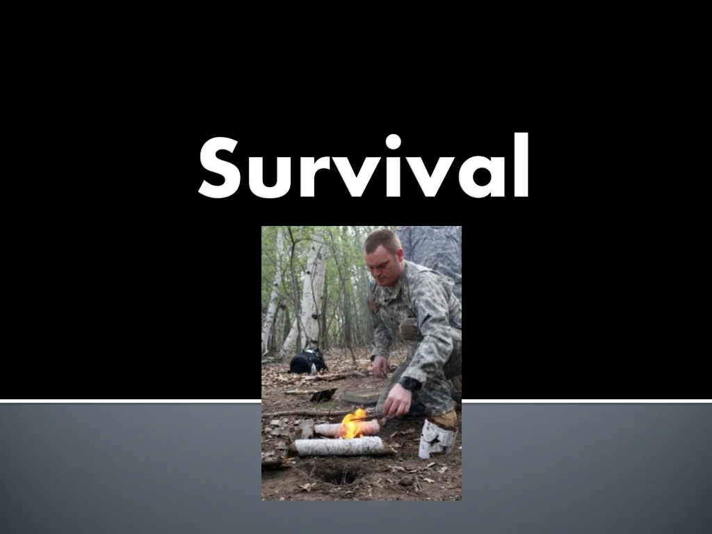 PPT - Survival PowerPoint Presentation, free download - ID:9659668