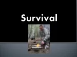 PPT - SURVIVAL PowerPoint Presentation, free download - ID:4197687