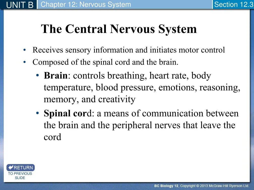 PPT - The Central Nervous System PowerPoint Presentation, free download ...