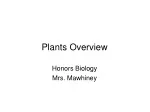 PPT - Overview of Green Plants PowerPoint Presentation, free download ...