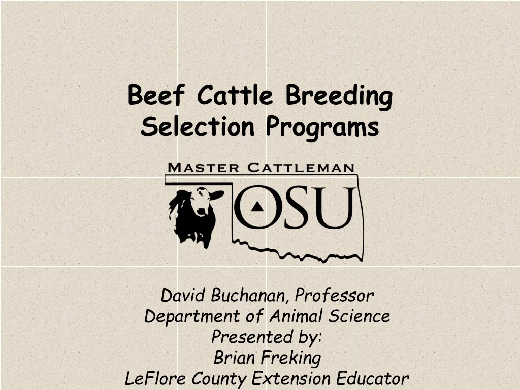 PPT - Effective Beef Cattle Breeding Selection Programs PowerPoint ...