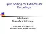 PPT - Spike sorting Tutorial PowerPoint Presentation, free download - ID:228436