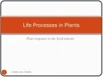 PPT - Life Processes in Plants PowerPoint Presentation, free download ...