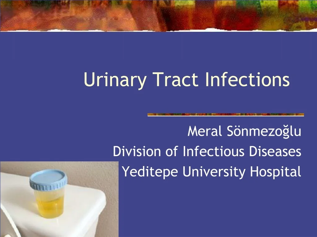 PPT - Urinary Tract Infections PowerPoint Presentation, free download ...