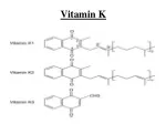 PPT - Biochemistry of Vitamin K PowerPoint Presentation, free download ...