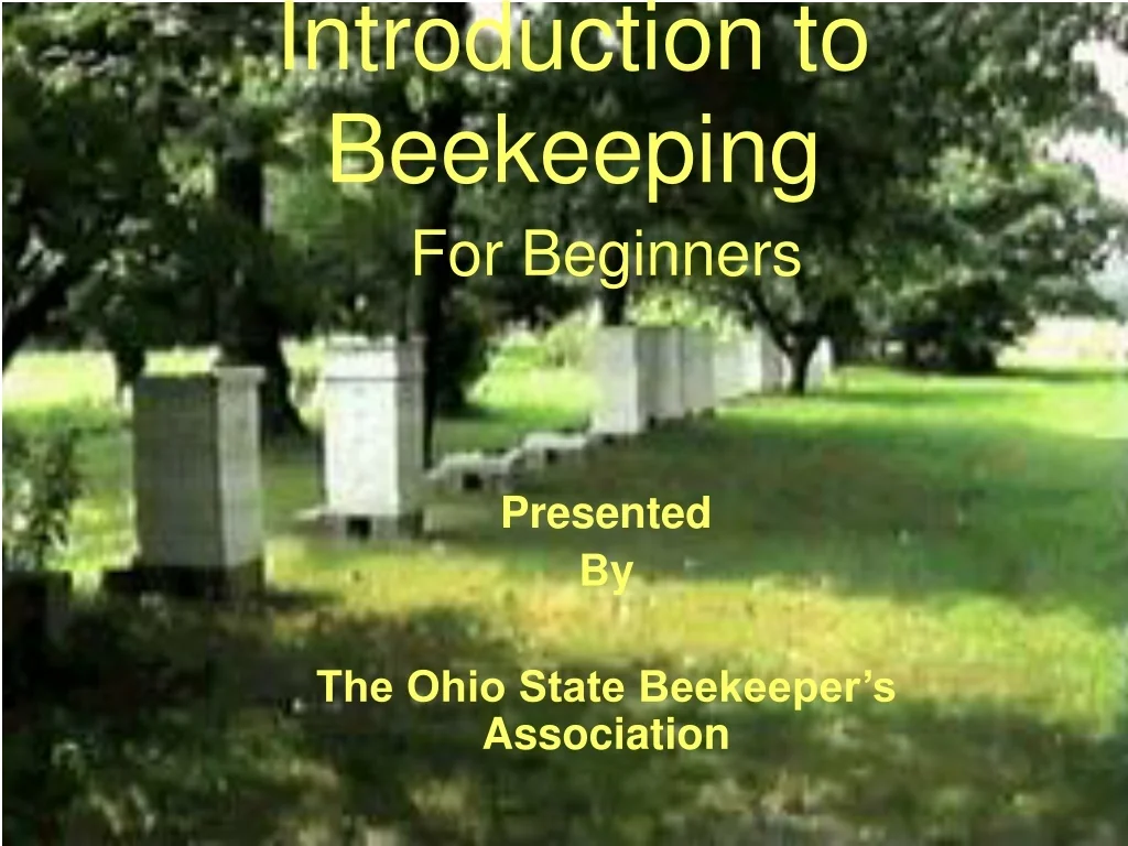 PPT - Beekeeping 101: Introduction to Beekeeping for Beginners ...