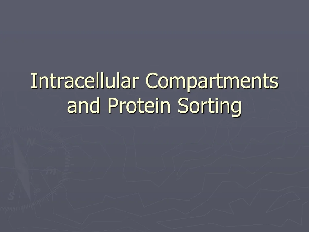 PPT - Intracellular Compartments and Protein Sorting PowerPoint ...