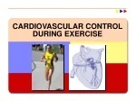 PPT - Cardiovascular response to exercise PowerPoint Presentation, free ...