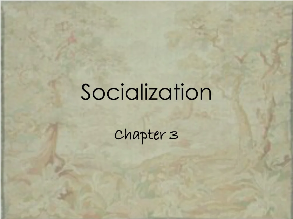 PPT - Socialization PowerPoint Presentation, free download - ID:9673813