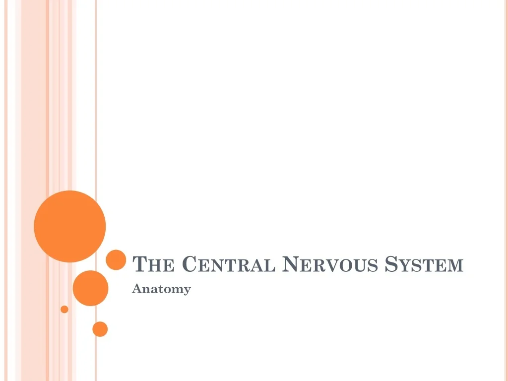 PPT - Central Nervous System: Anatomy and Functions PowerPoint ...