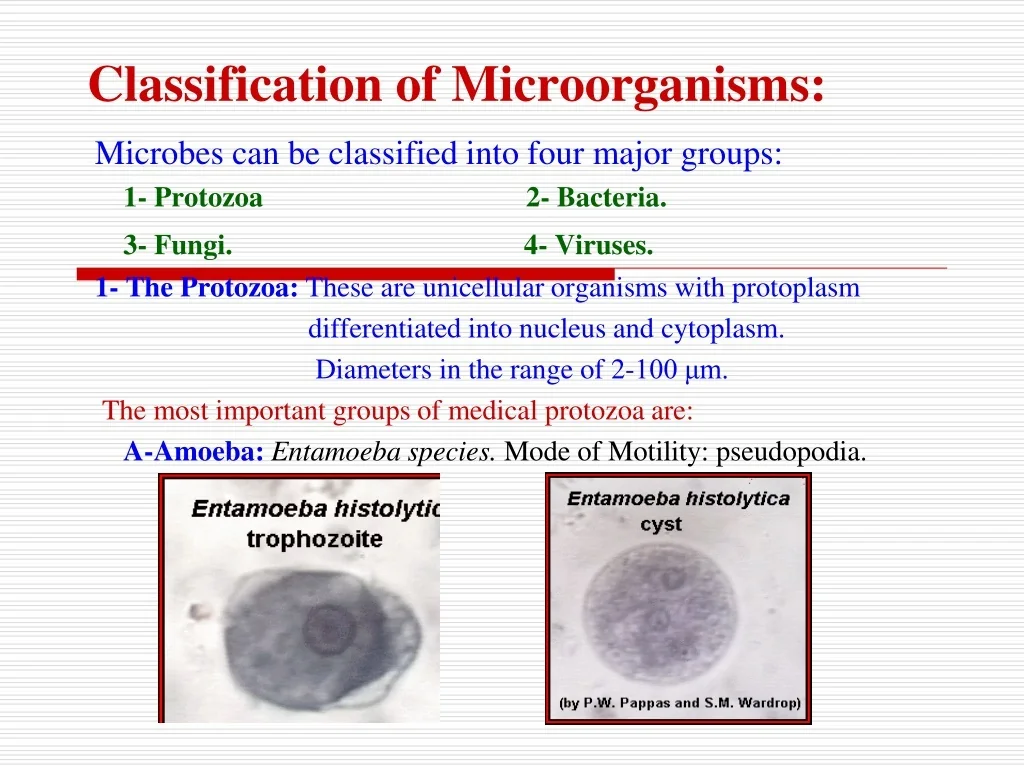 PPT - Classification of Microorganisms: PowerPoint Presentation, free ...
