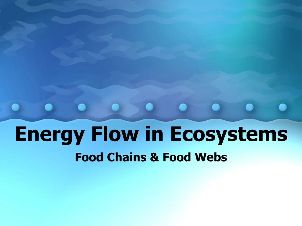 PPT - Understanding Energy Flow in Ecosystems: Food Chains & Webs ...