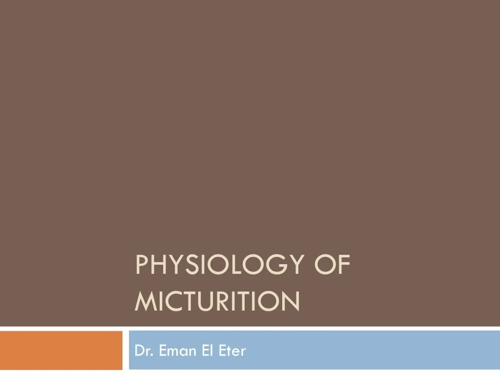 PPT - Understanding the Physiology of Micturition: A Comprehensive ...