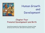 PPT - human Growth and Development PowerPoint Presentation, free ...
