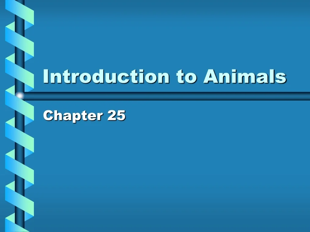 PPT - Introduction to Animals: A Diverse Kingdom PowerPoint ...