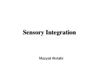 PPT - Workshop on sensory integration PowerPoint Presentation - ID:9097003