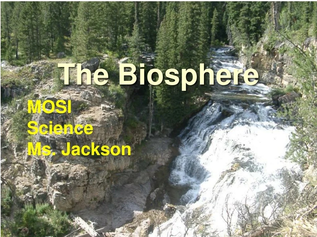 PPT - The Biosphere PowerPoint Presentation, free download - ID:9679788