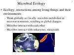 PPT - Oral Microbial Ecology PowerPoint Presentation, free download ...
