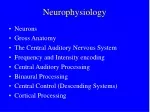 PPT - Neurophysiology PowerPoint Presentation, free download - ID:168209