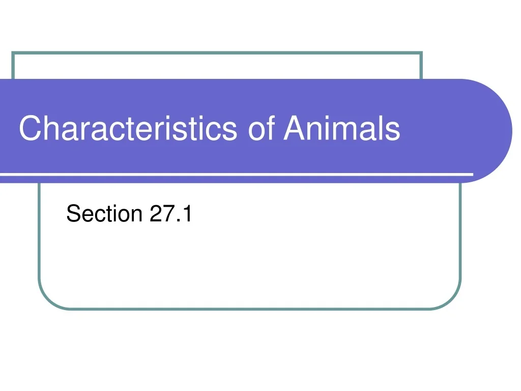 PPT - Exploring Animal Characteristics: Features and Body Plans ...