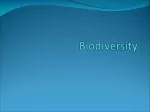 PPT - Biodiversity Notes PowerPoint Presentation, free download - ID:374860