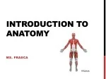 PPT - INTRODUCTION TO HUMAN ANATOMY PowerPoint Presentation, free ...