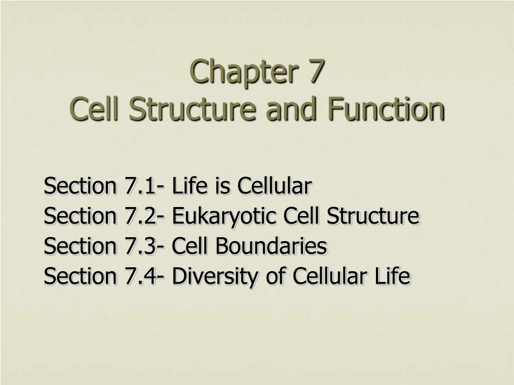 PPT - Exploring Cellular Structure: Eukaryotic Cell Diversity ...