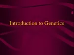 PPT - Introduction to Genetics PowerPoint Presentation, free download - ID:1313321