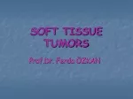 PPT - Soft Tissue Tumors PowerPoint Presentation, free download - ID ...