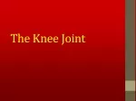 PPT - The Knee Joint PowerPoint Presentation, free download - ID:3329792