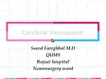 PPT - Cerebral Vasospasm PowerPoint Presentation, free download - ID ...
